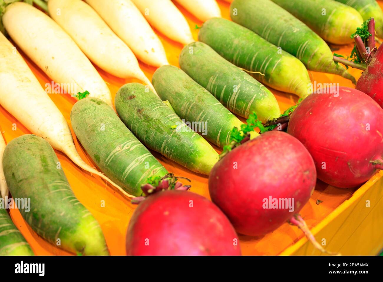 Turnips red radish hi-res stock photography and images - Alamy