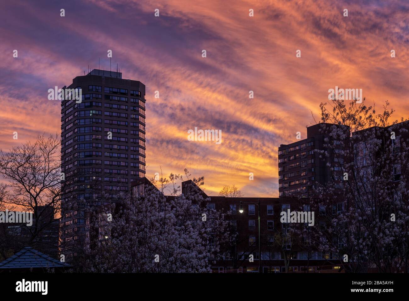 An Epic Pink Sunset in Boston City Stock Photo - Alamy