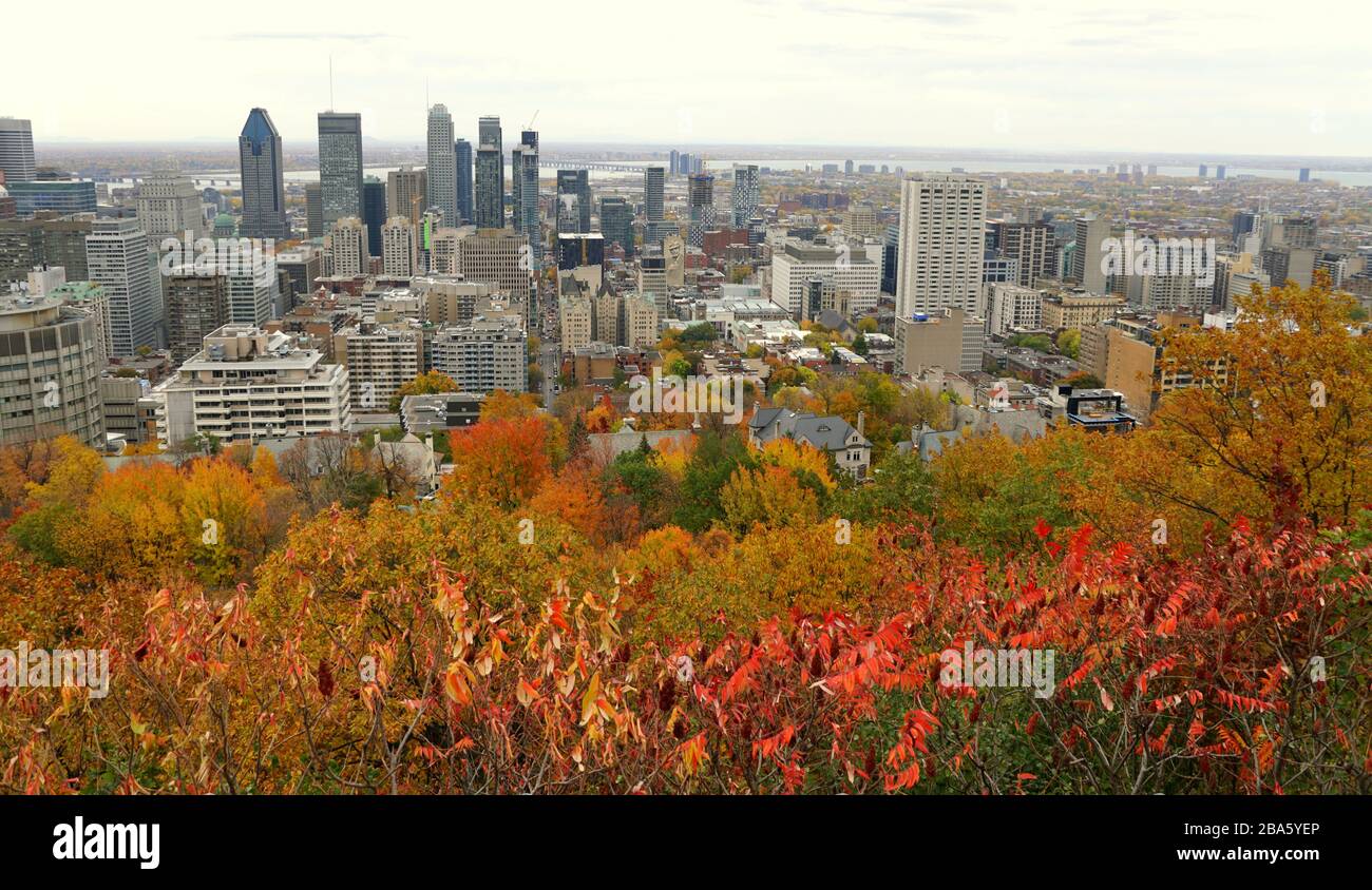 Montreal, Canada - October 25, 2019 - The view of the skyscrapers in ...