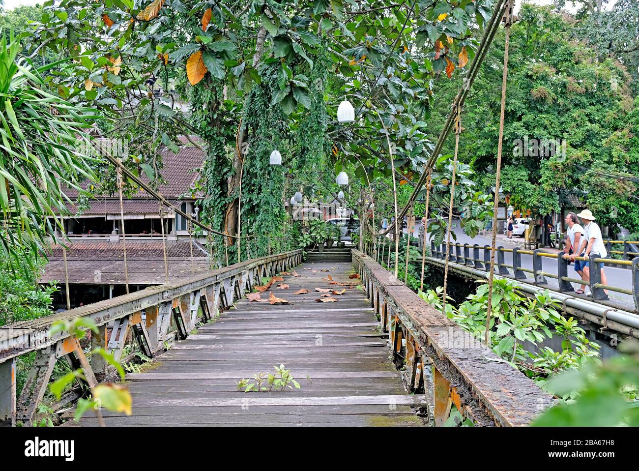Wild tropical forest wooden bridge hi-res stock photography and images ...
