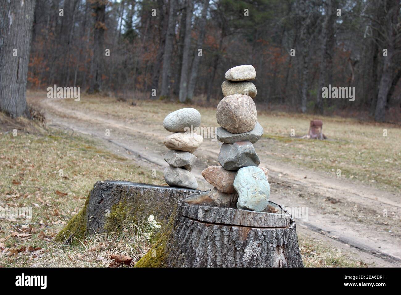 Balance Stumps High Resolution Stock Photography and Images - Alamy