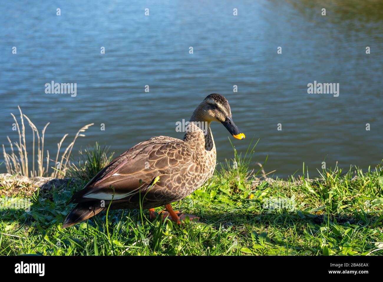 Indian river riverside park hi-res stock photography and images - Alamy