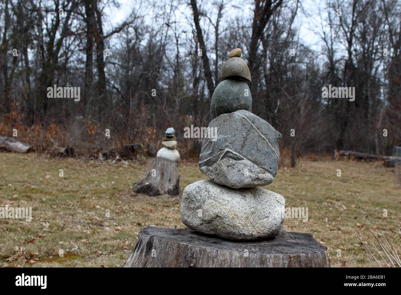 Logged stump hi-res stock photography and images - Alamy