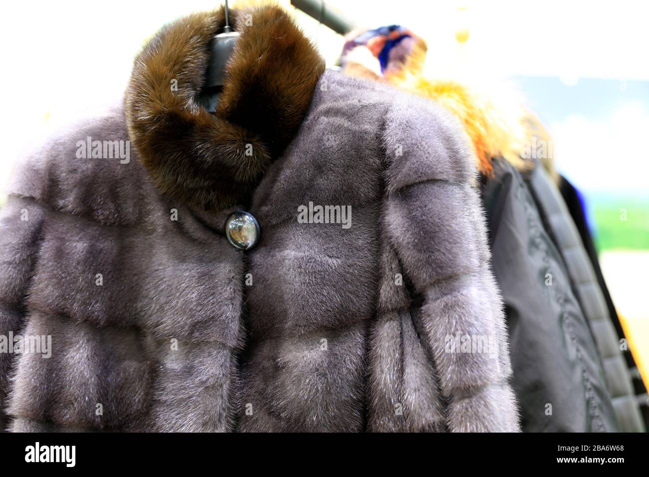 Luxury fur coats hanging on rack, various colors of mink, fox and sheep ...