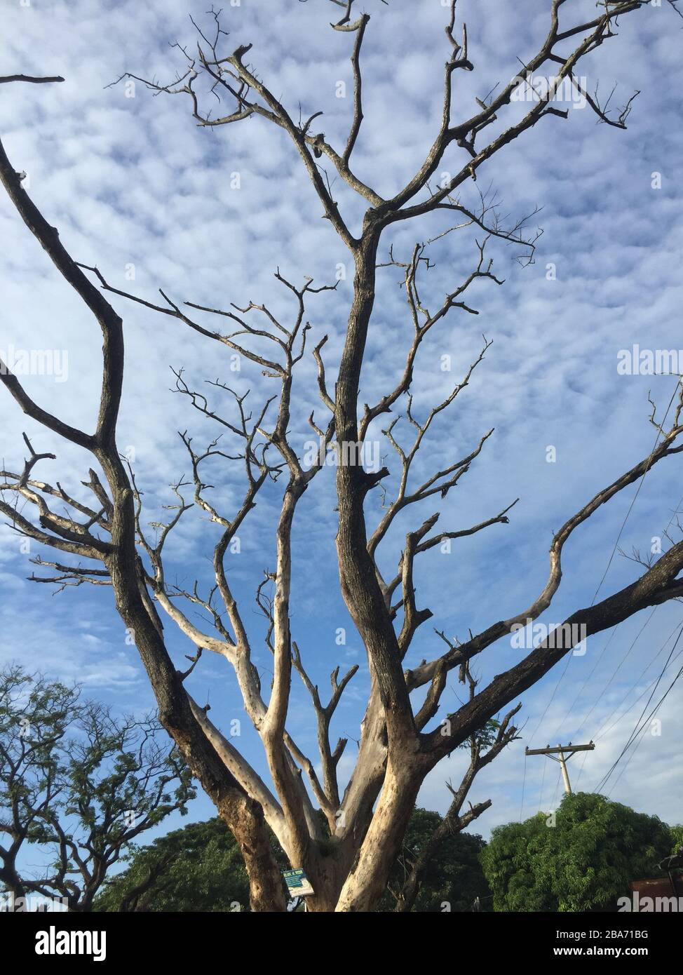 Wood be good to go hi-res stock photography and images - Alamy