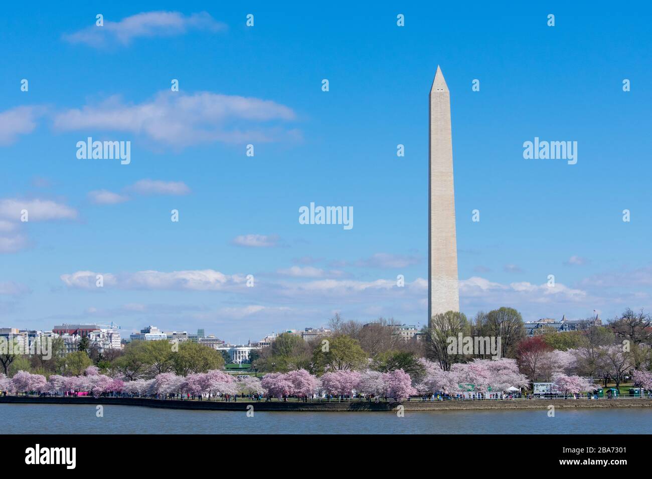 Tidal basin spring hi-res stock photography and images - Alamy