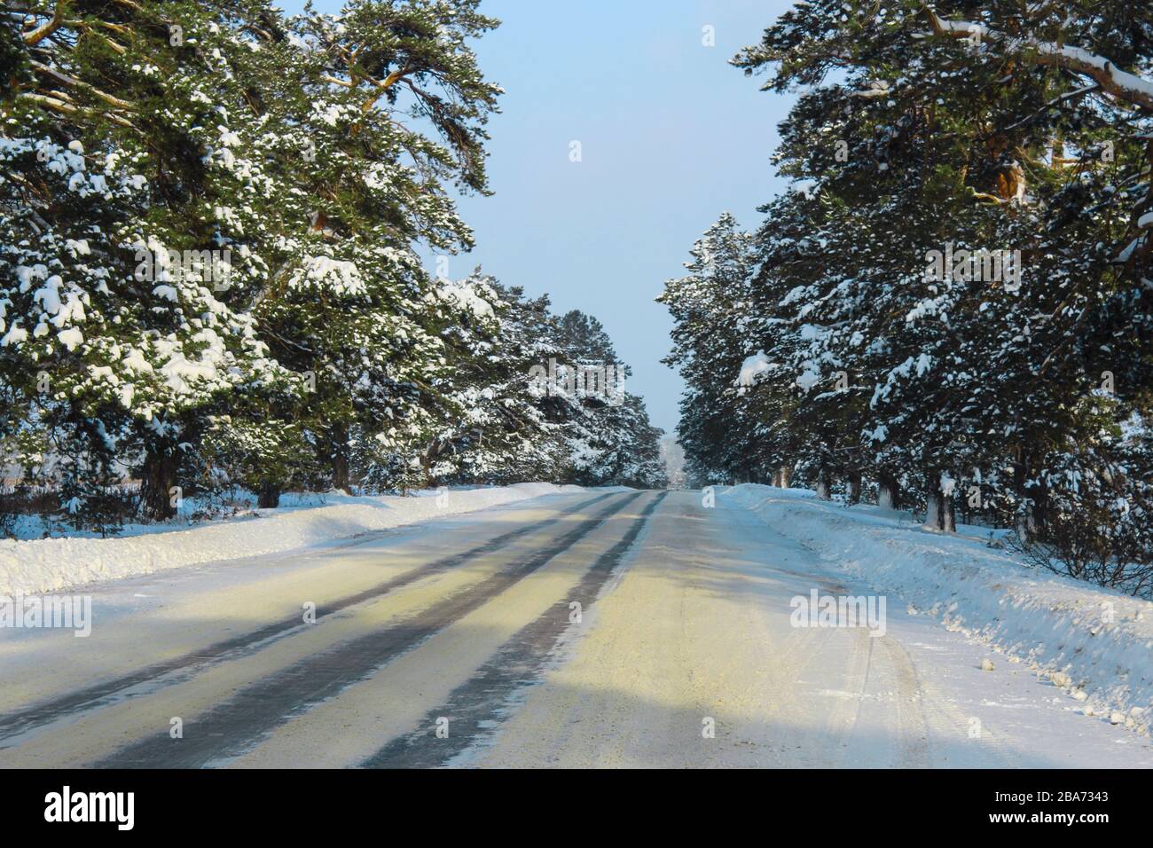 Winter snowy road through the forest Stock Photo - Alamy