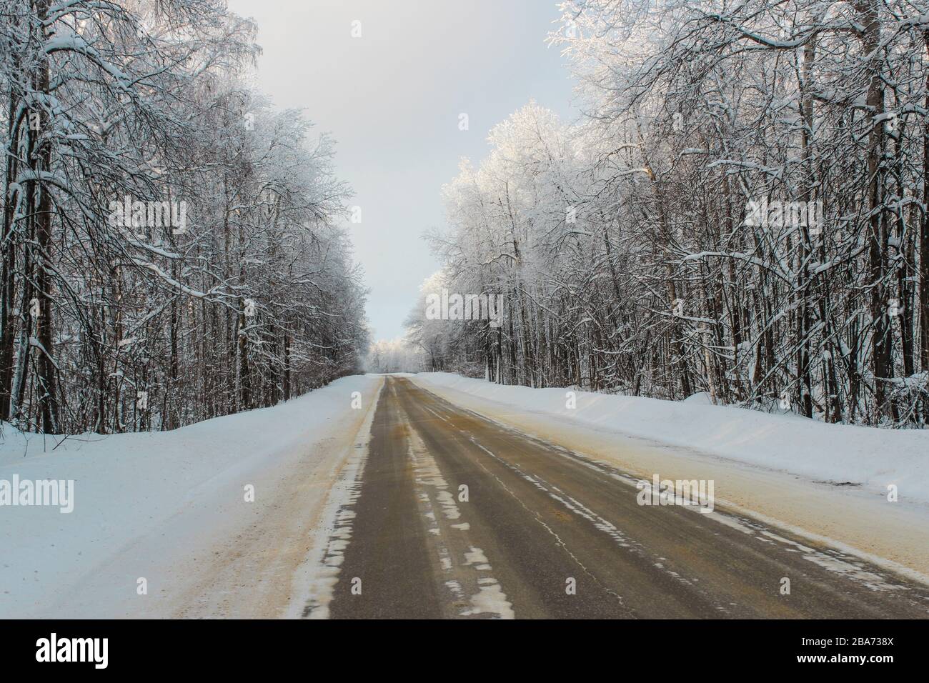 Winter snowy road through the forest Stock Photo - Alamy