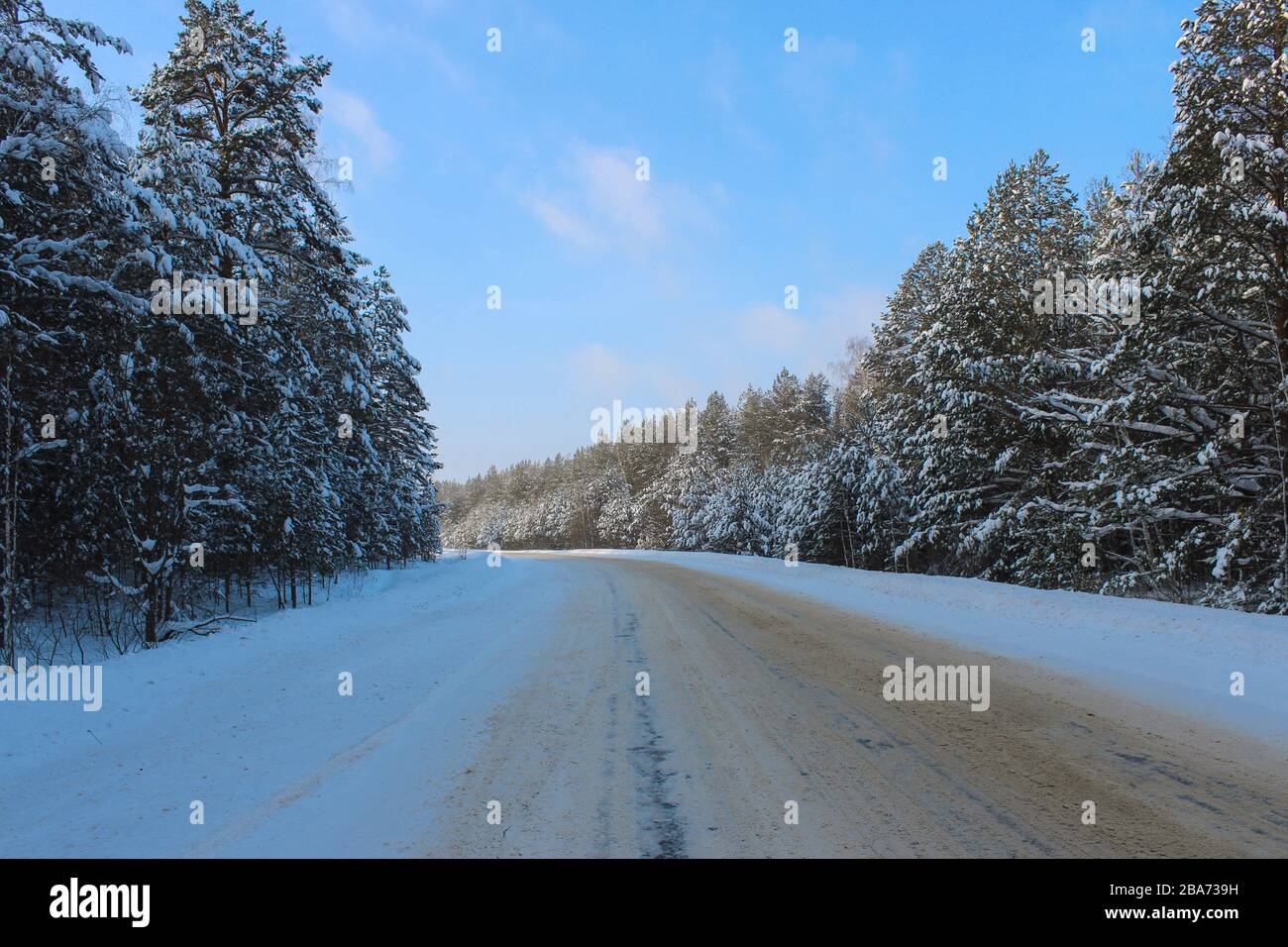 Winter snowy road through the forest Stock Photo - Alamy