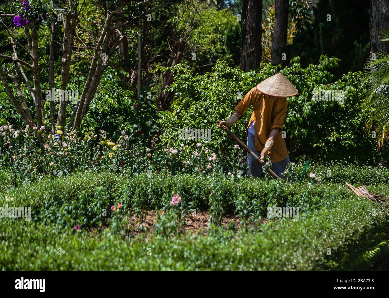 Monk gardening on monastery grounds Stock Photo - Alamy