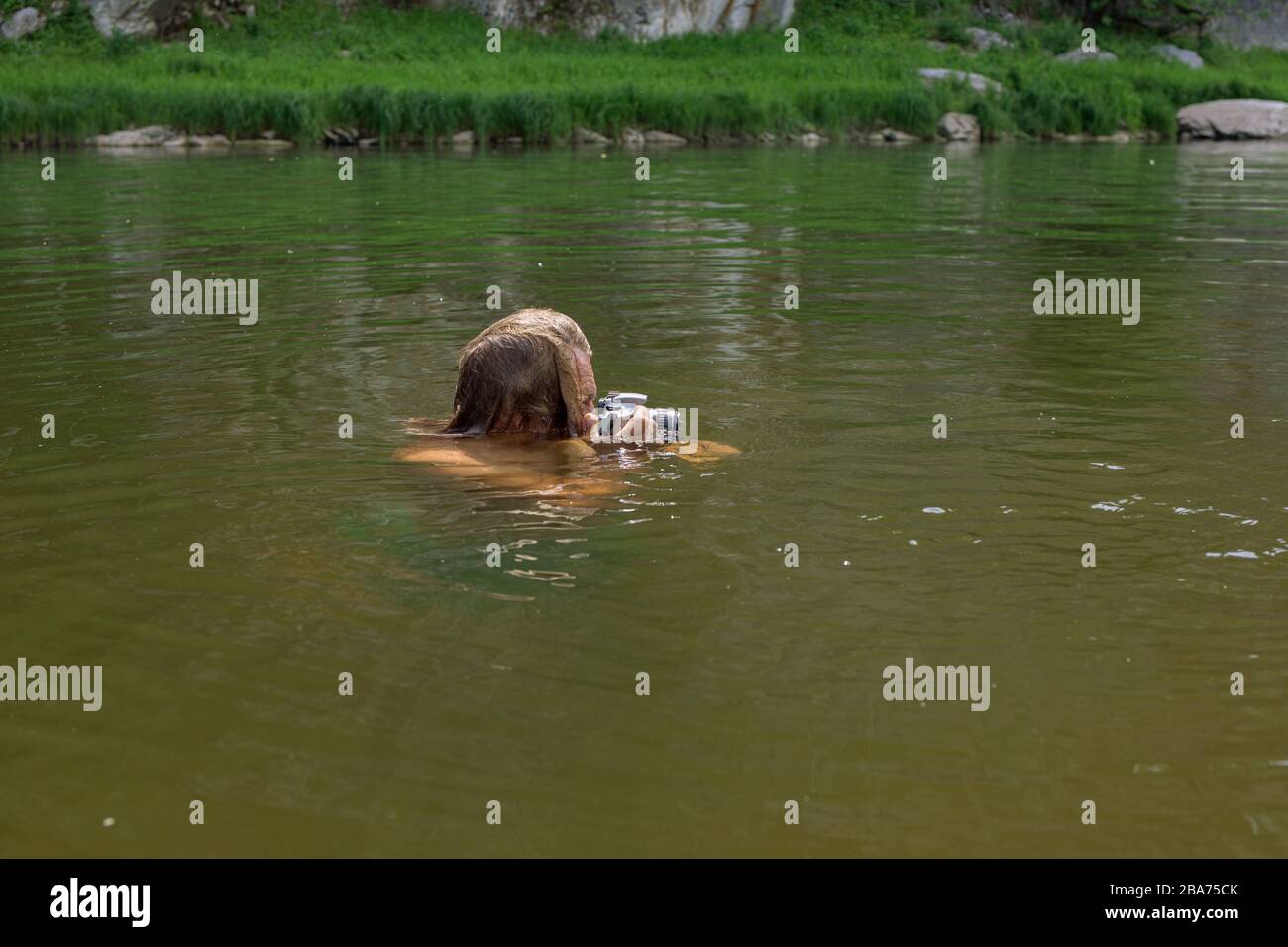 Side view of photographer holding camera swimming by river with just ...