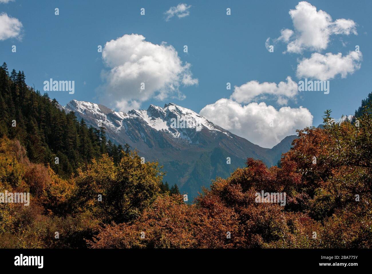 Sichuan, Sichuan, China. 26th Mar, 2020. SichuanÃ¯Â¼Å'CHINA-Jiuzhai ...