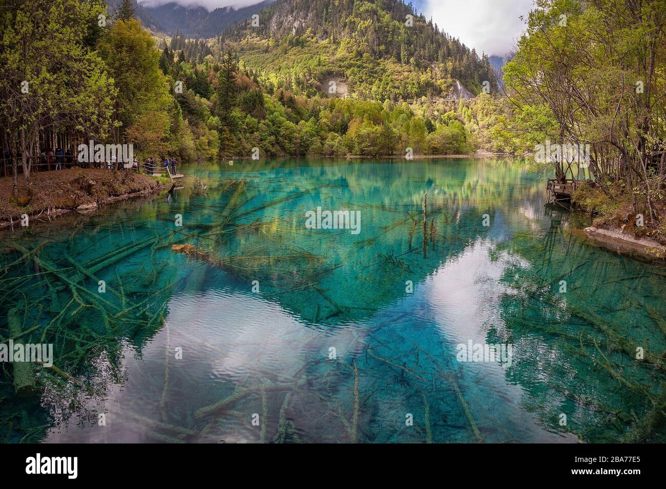 Sichuan, Sichuan, China. 26th Mar, 2020. SichuanÃ¯Â¼Å'CHINA-Jiuzhai ...