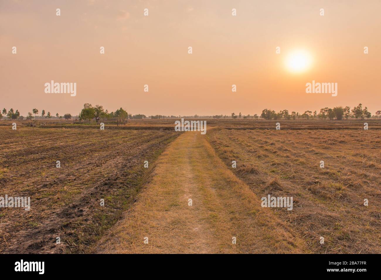 rural road going through prairie under sunset sky Stock Photo - Alamy