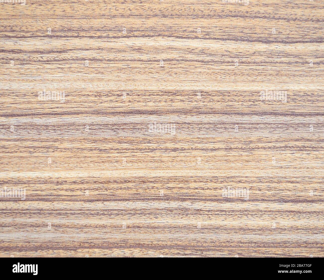 Zebrano, light wood texture of natural lines drawing close-up ...