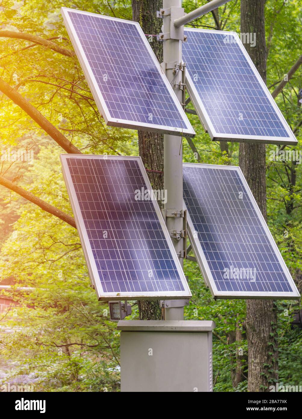 photovoltaic using renewable solar energy in forest Stock Photo - Alamy