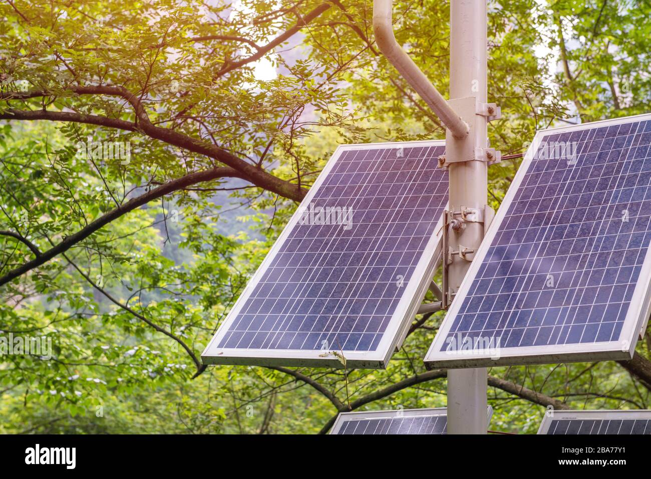 photovoltaic using renewable solar energy in forest Stock Photo - Alamy