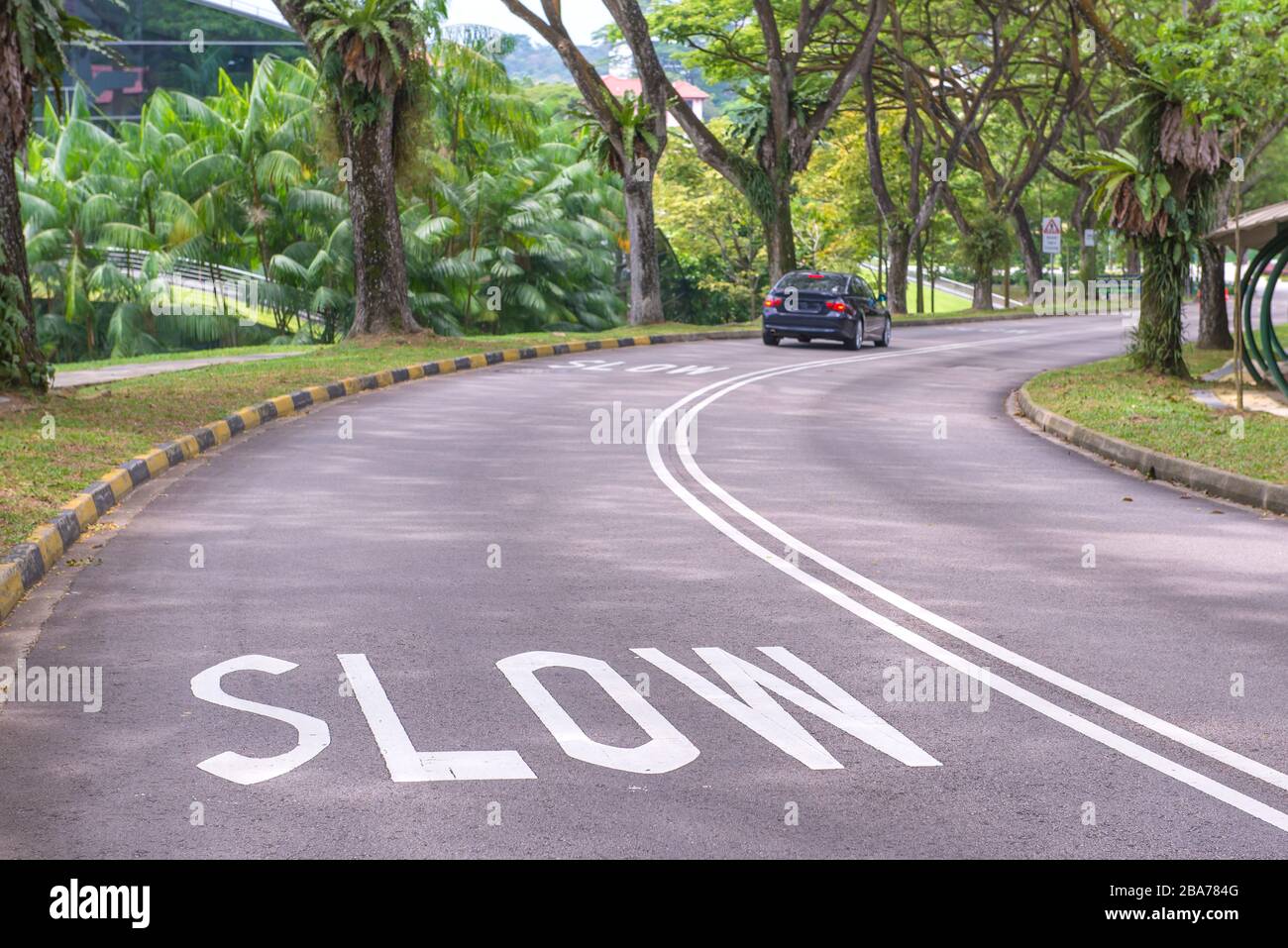 Worded marking SLOW painted to warning signs to slow down on a curving ... Worded marking SLOW painted to warning signs to slow down on a curving ...