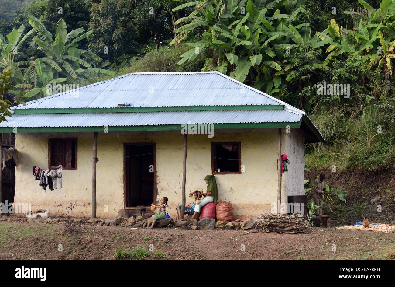 Kaffa province hi-res stock photography and images - Alamy