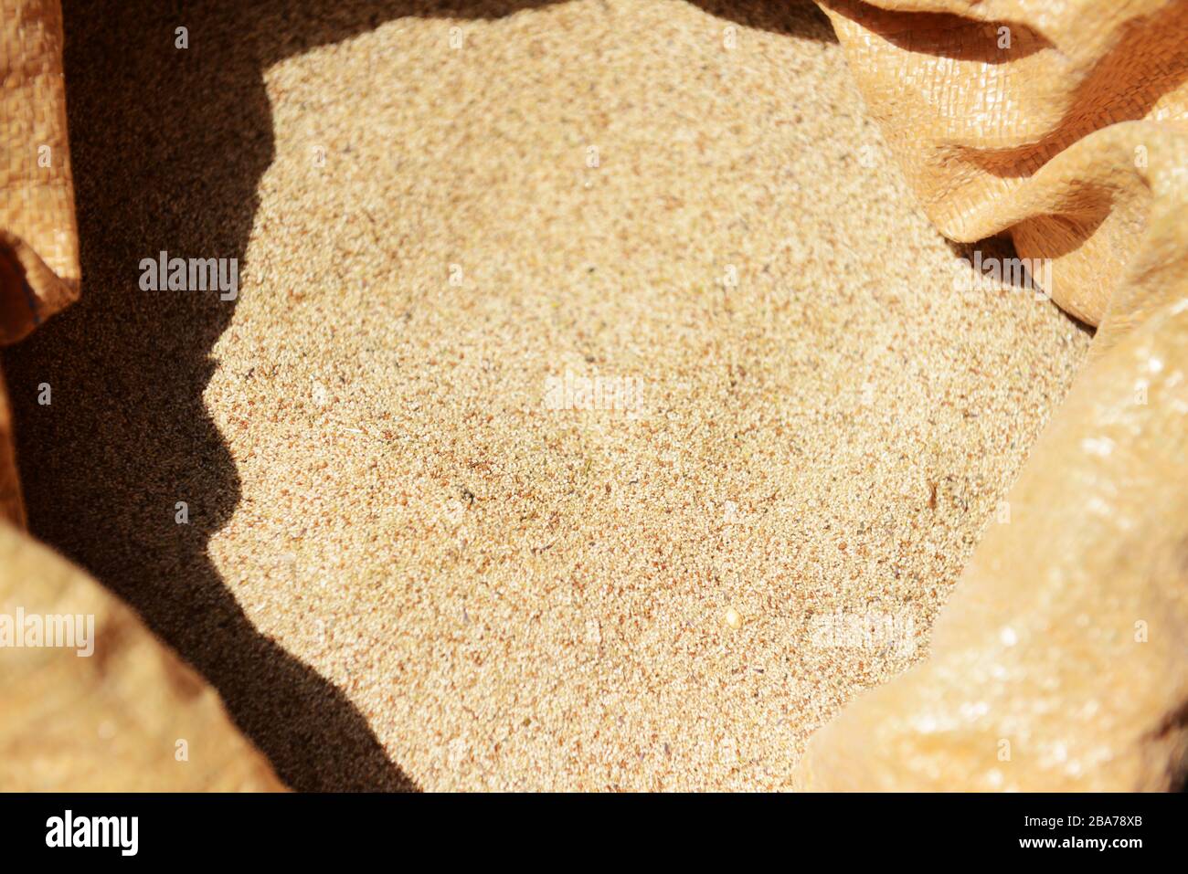 Teff grains sold at the waliso marekt in Oromia, Ethiopia Stock Photo ...
