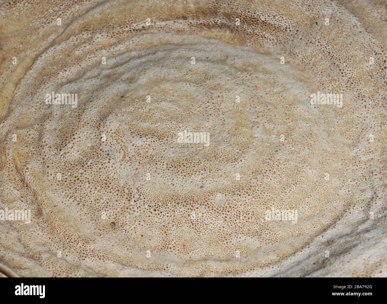 Injeras ( Teff flour flatbread ) sold in the Waliso market in Oromia ...