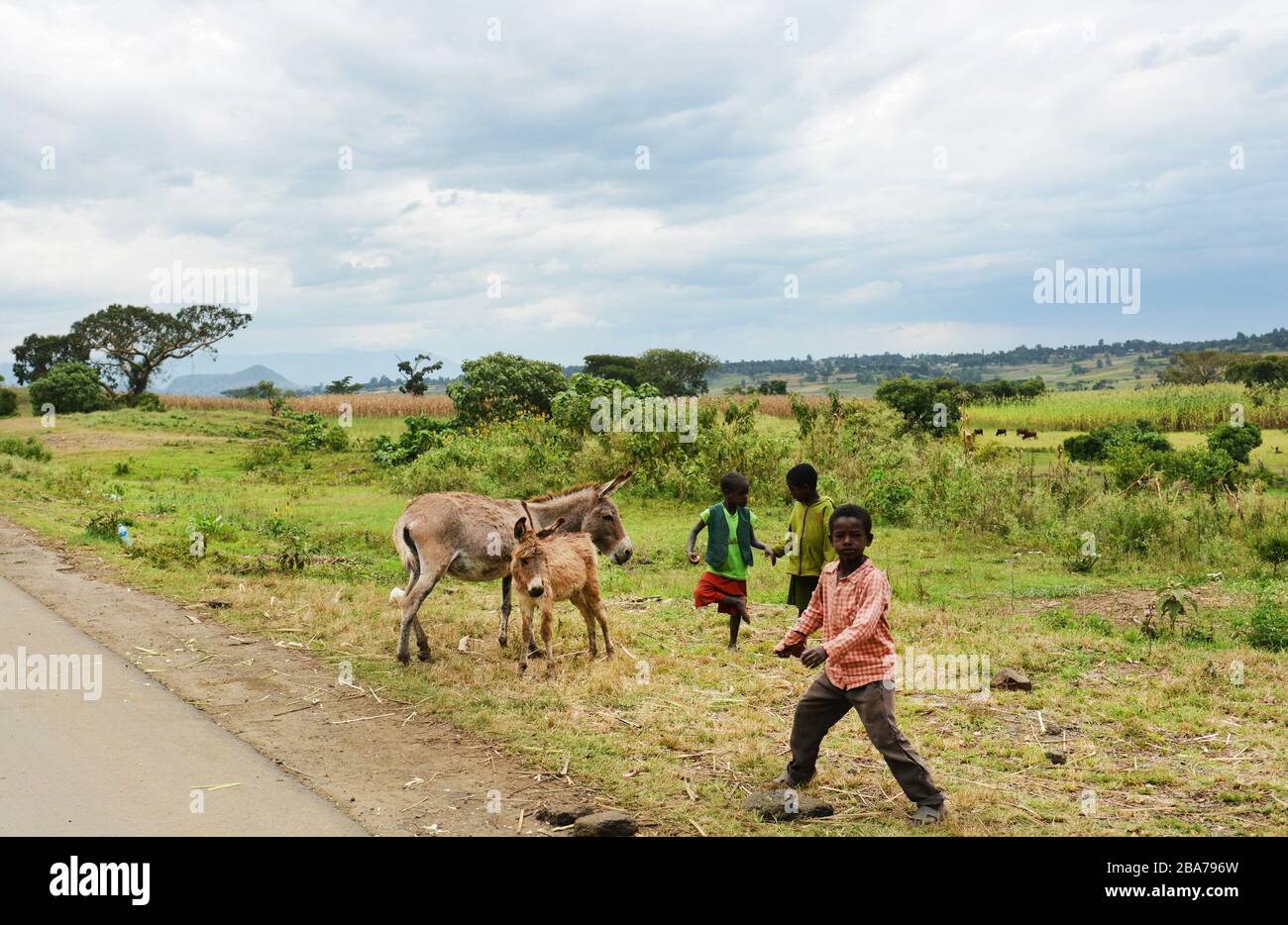 Ethiopian children playing along the road to Bongo in the Kaffa region ...