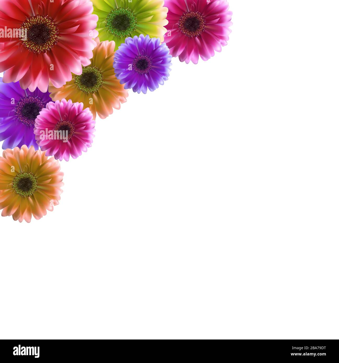 Gerbera Flower Background Vector Illustration EPS10 Stock Vector Image ...