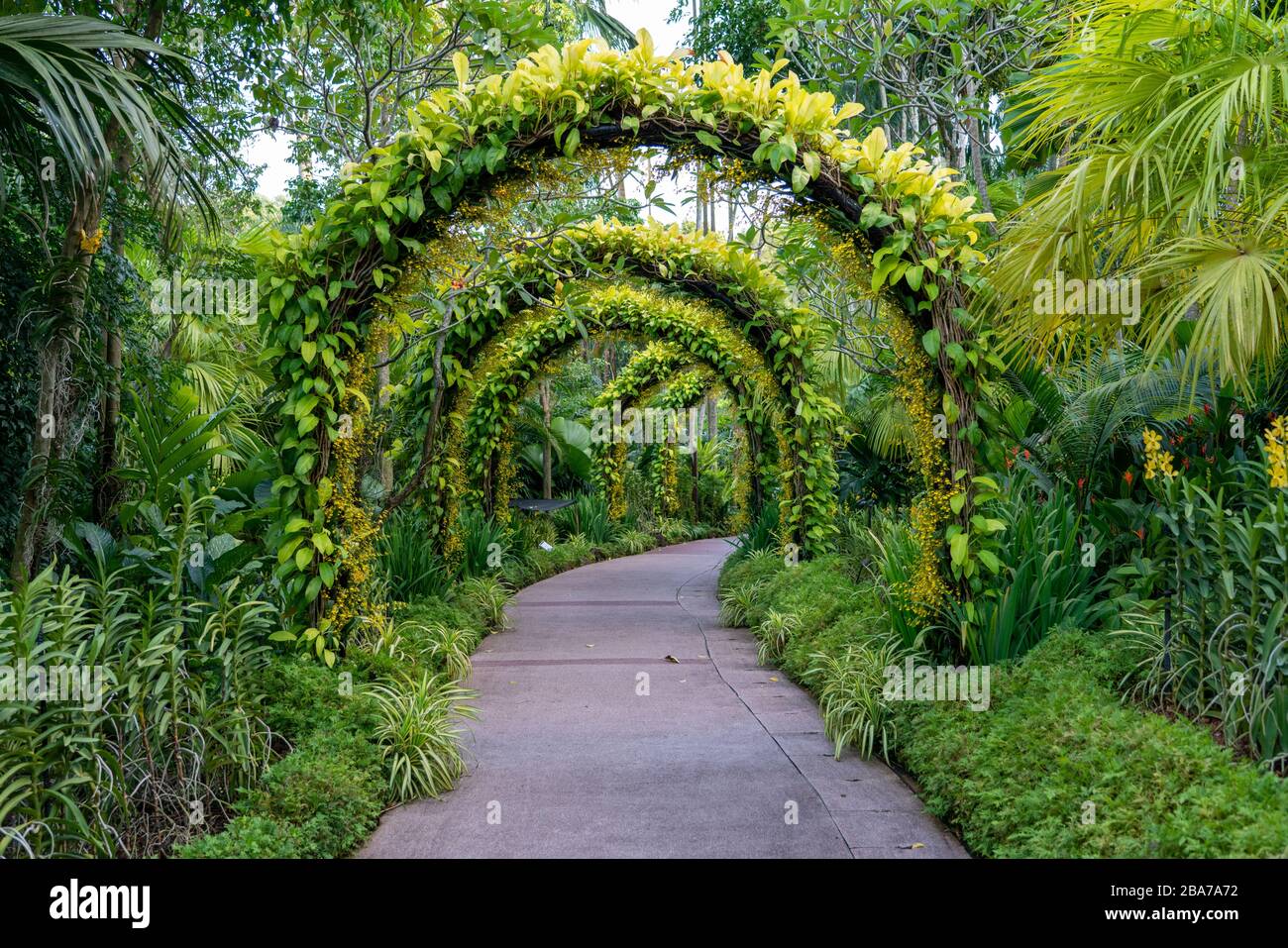 footpath under a beautiful arch of flowers and plants Stock Photo - Alamy