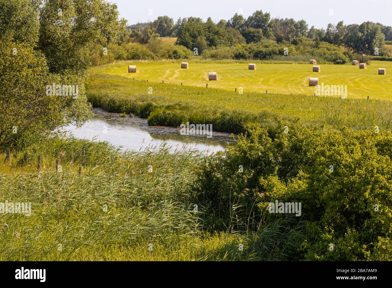 Hay harvest in UNESCO biosphere reserve river landscape Elbe ...
