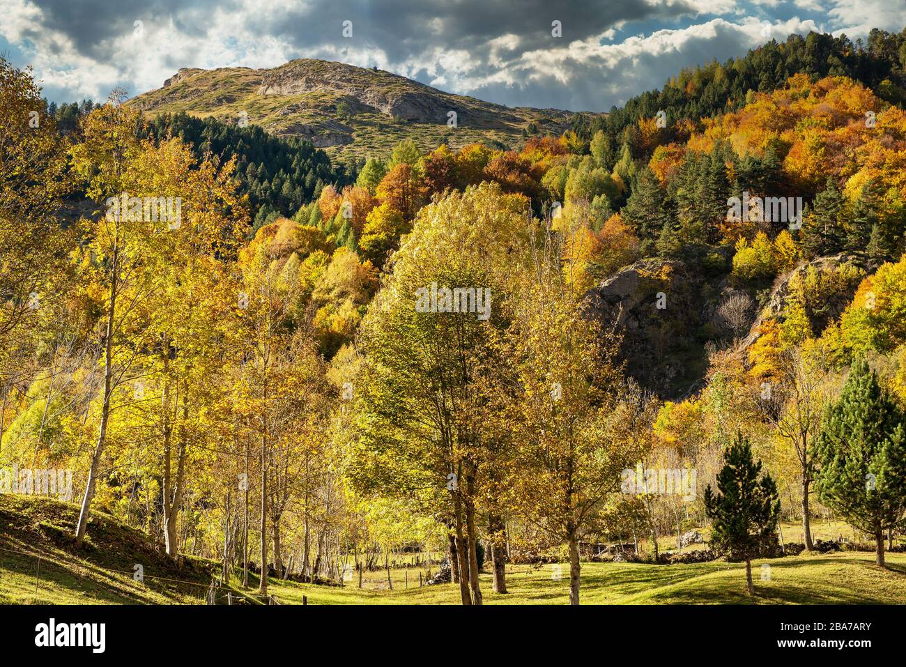 color of autumn at the mountain (french Pyrenees Stock Photo - Alamy