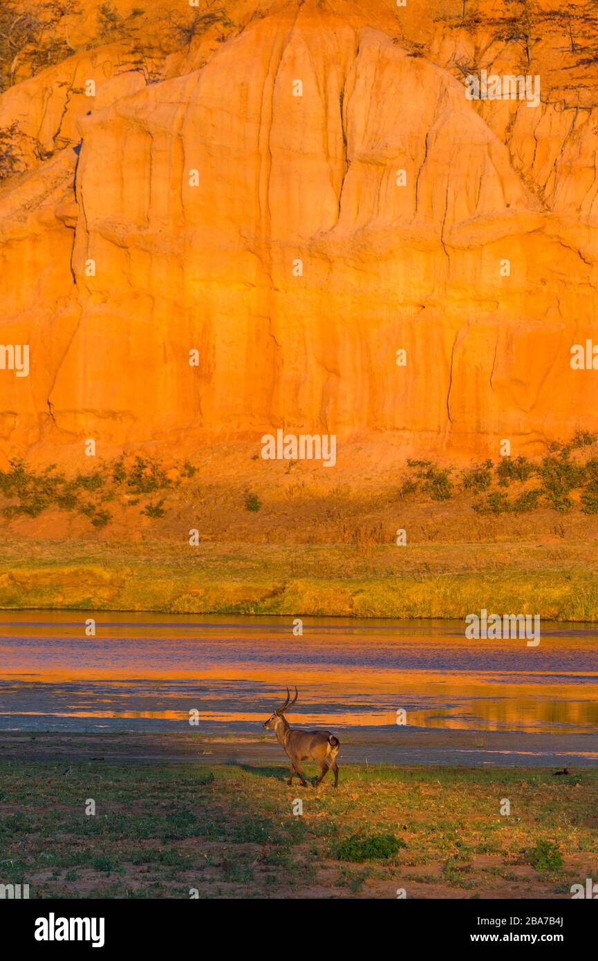 The colourful orange Chilojo cliffs seen in Zimbabwe's Gonarezhou ...