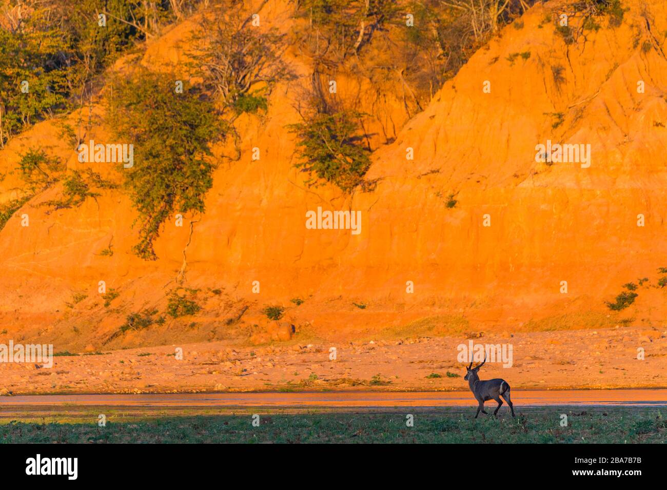 The colourful orange Chilojo cliffs seen in Zimbabwe's Gonarezhou ...