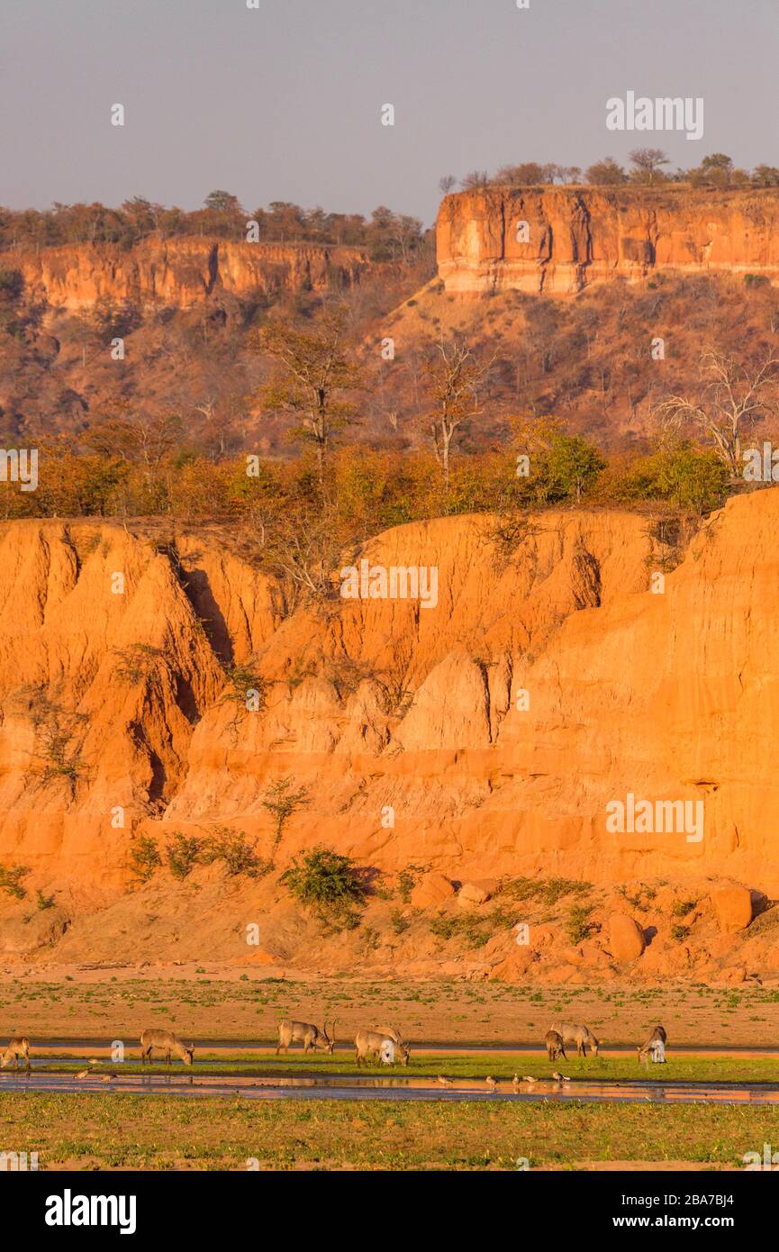 The colourful orange Chilojo cliffs seen in Zimbabwe's Gonarezhou ...
