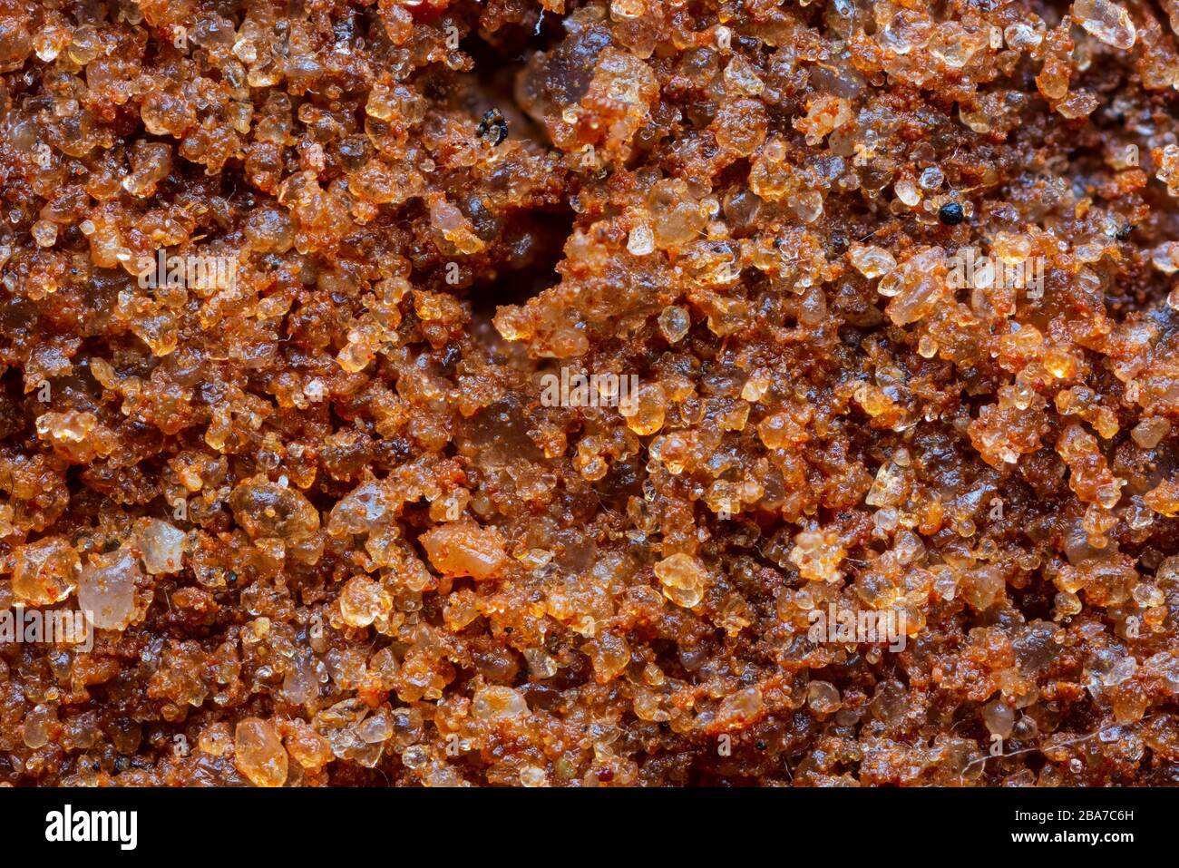 Podzol soil hi-res stock photography and images - Alamy