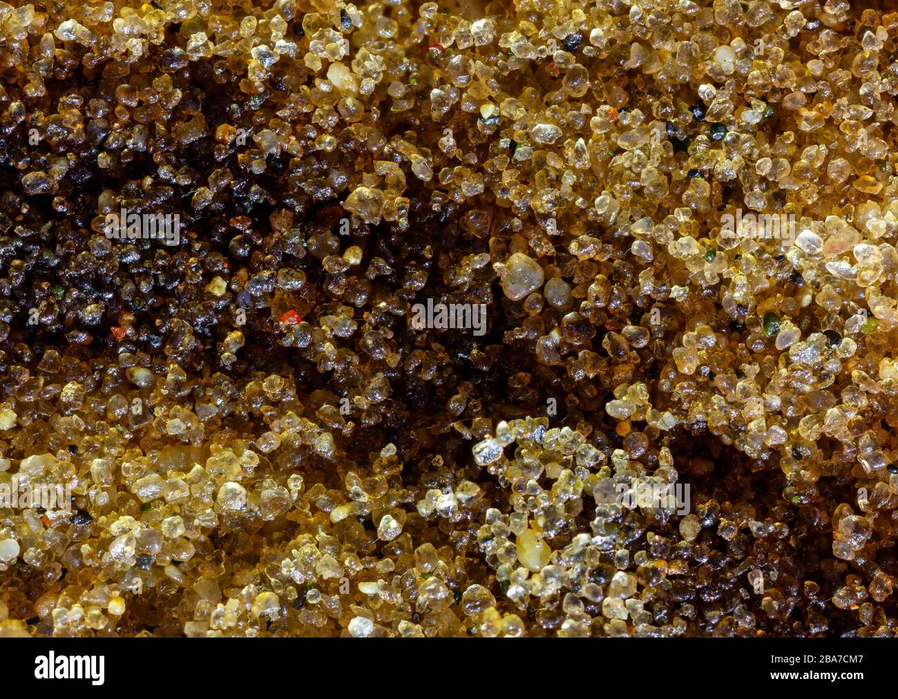 Extreme closeup (5x) of a Bs horizon of a Podzol or Spodosol formed of ...