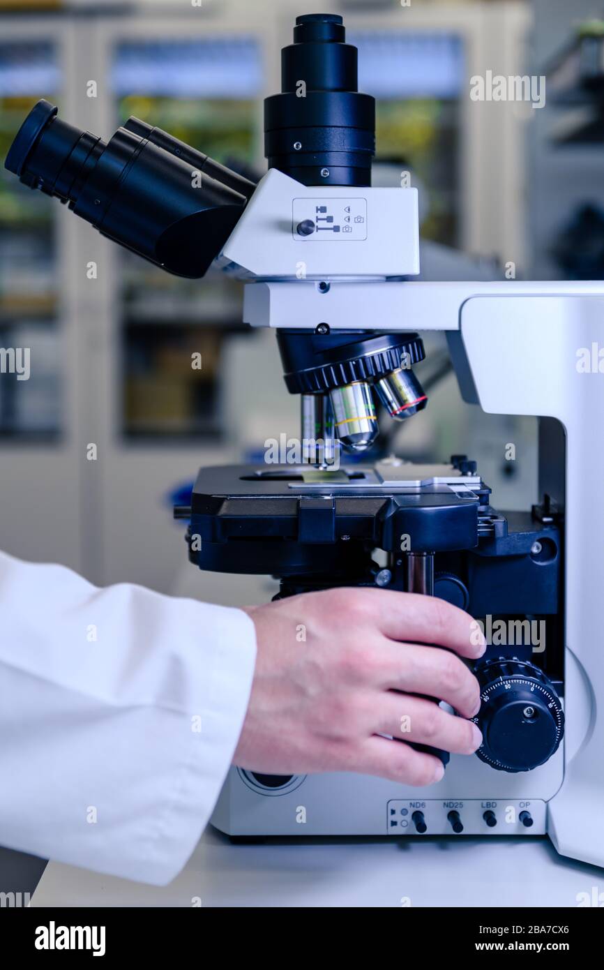 A laboratory worker working with a modern microscope while conducting a ...