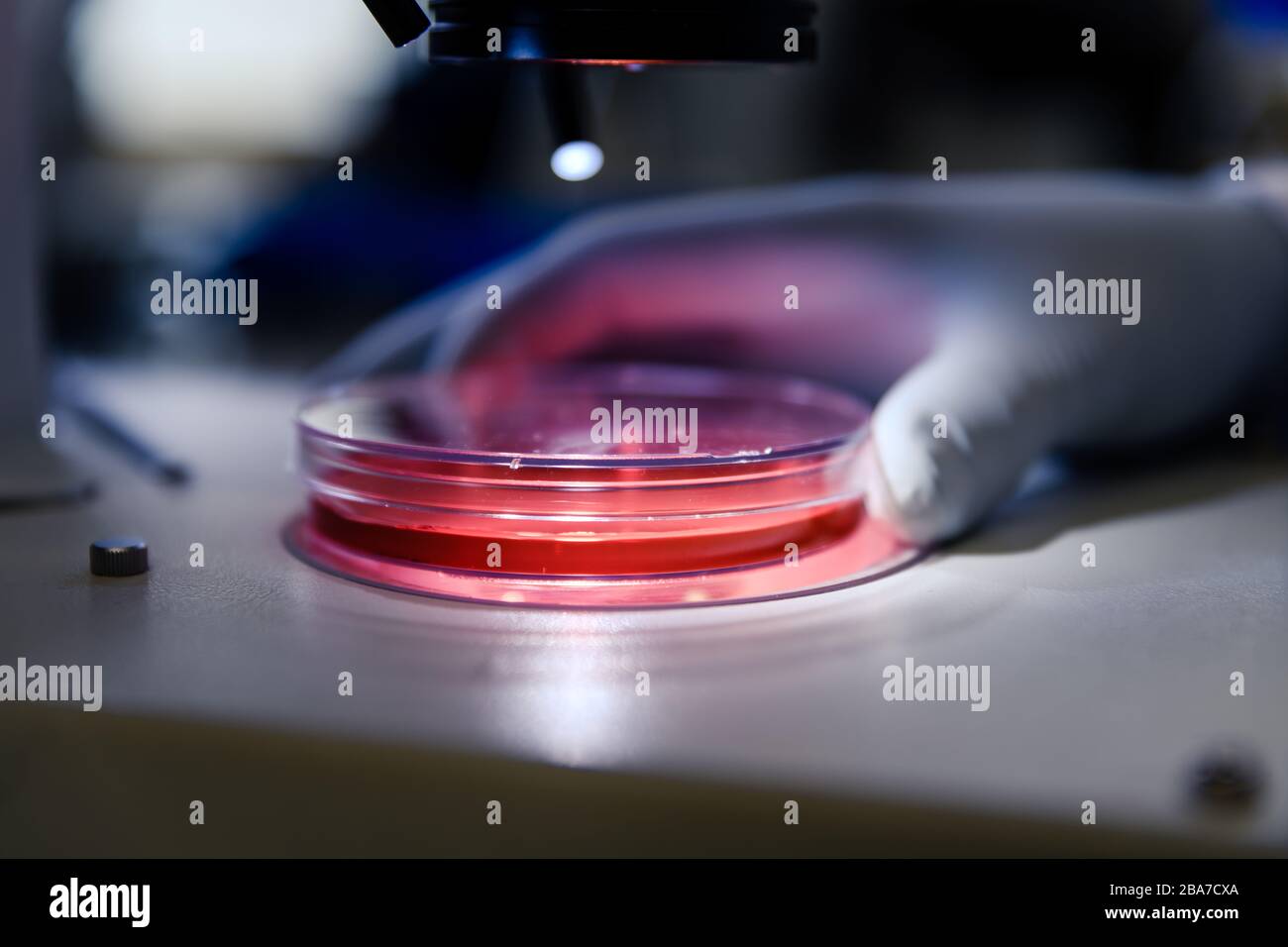 Plastic particles microscope hi-res stock photography and images - Alamy