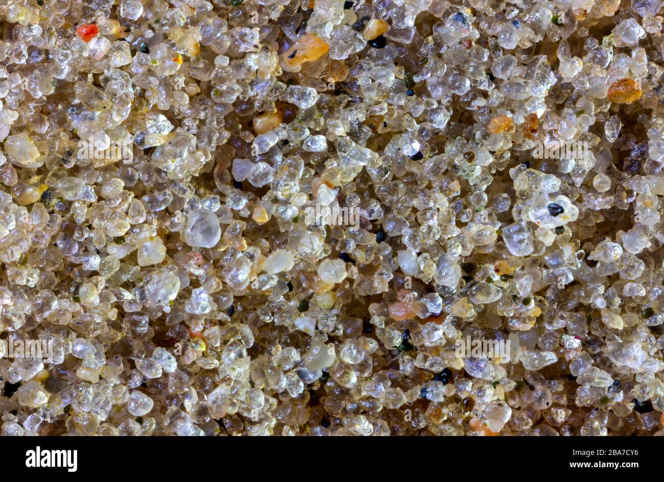 Podzol hi-res stock photography and images - Alamy