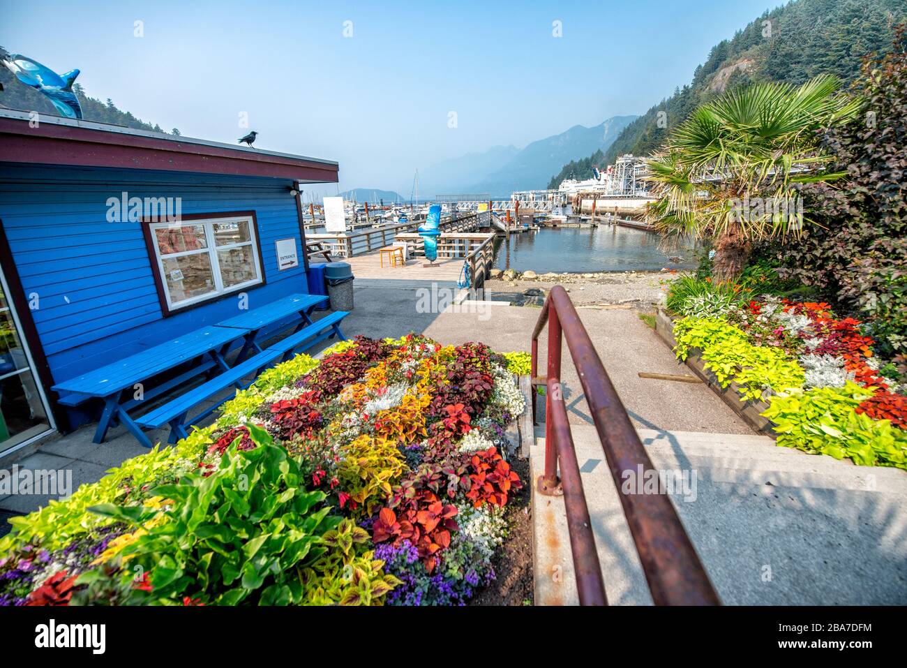 Horseshoe bay public dock hi-res stock photography and images - Alamy