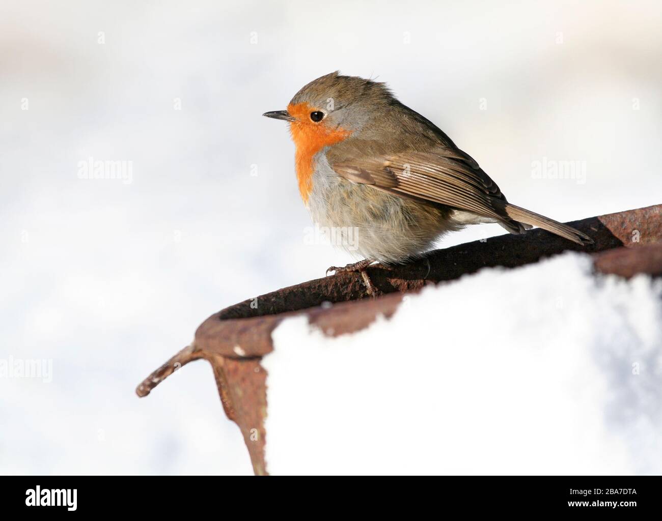 Old Milk Churn High Resolution Stock Photography and Images - Alamy