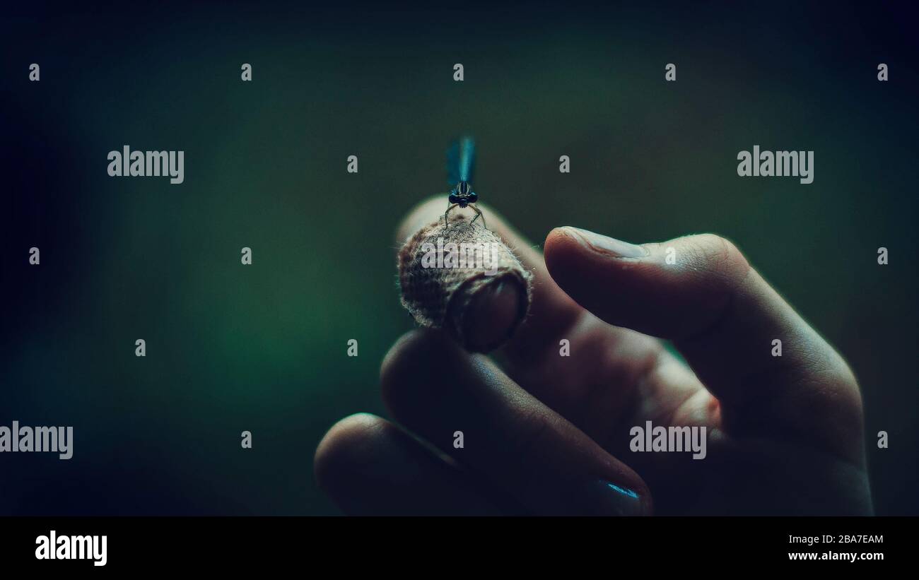 Hand green lightning hi-res stock photography and images - Alamy