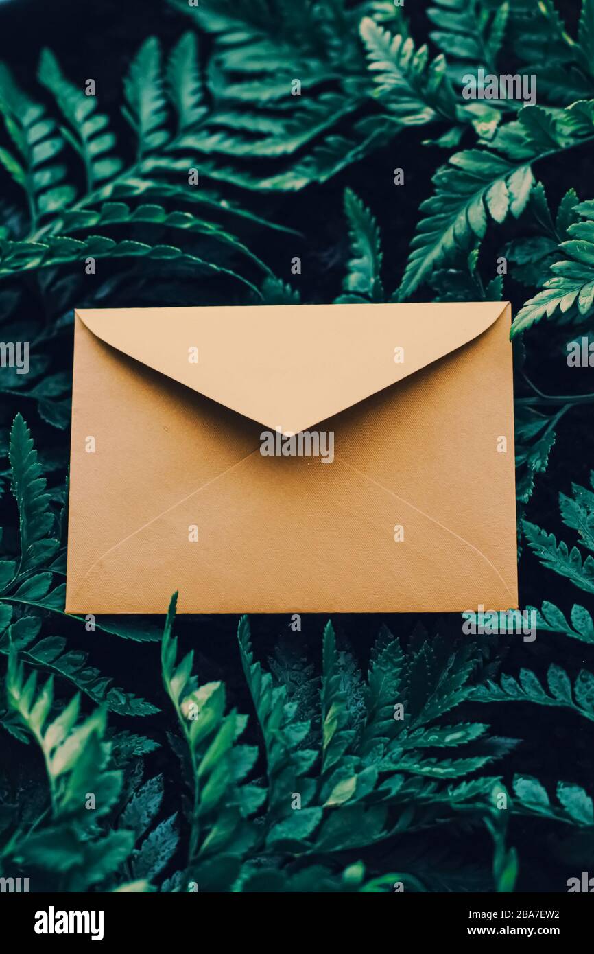 Blank envelope and green leaves in nature, paper card as background ...