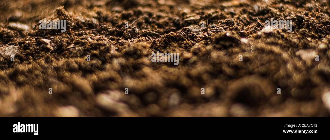 Earth ground texture as background, nature and environmental backdrop ...