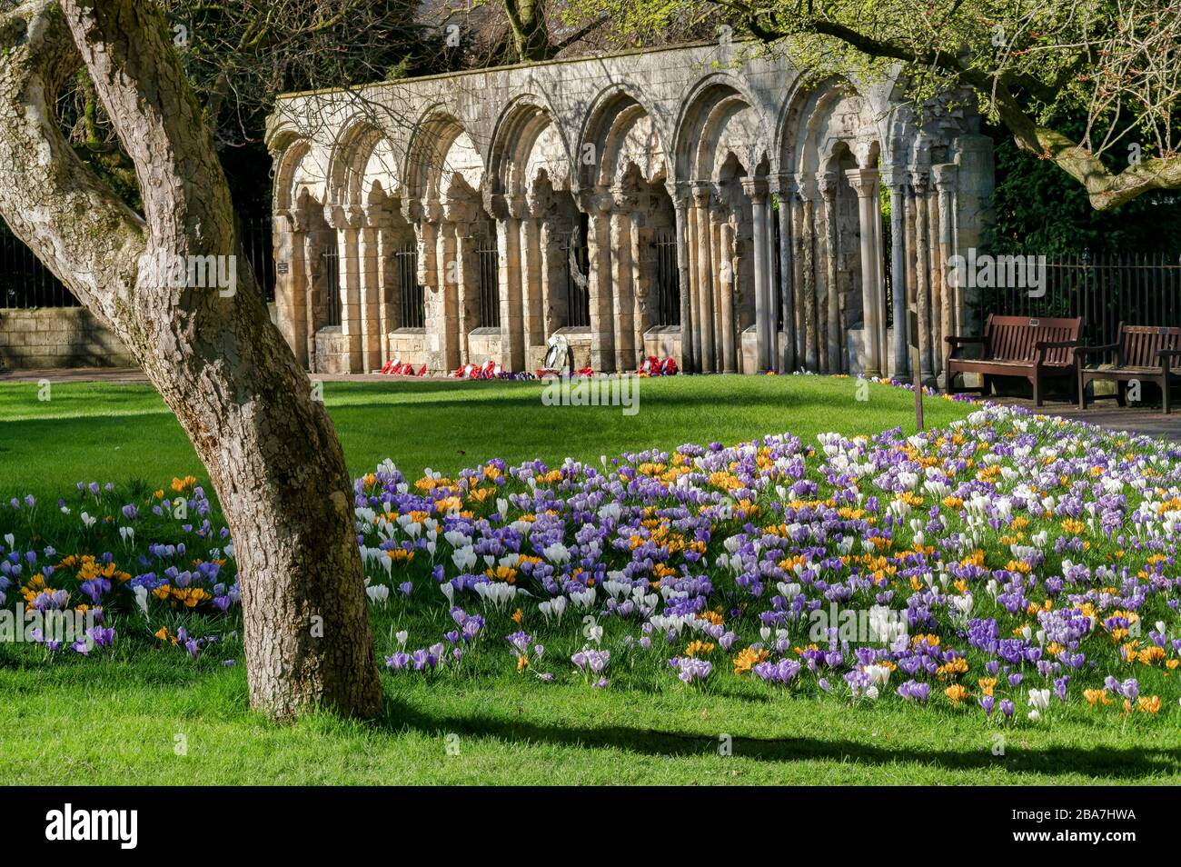 Dean's Park garden with crocuses in bloom and the Kohima War memorial ...