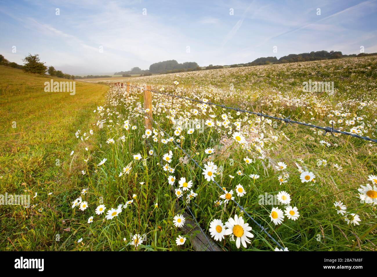 Set aside field hi-res stock photography and images - Alamy