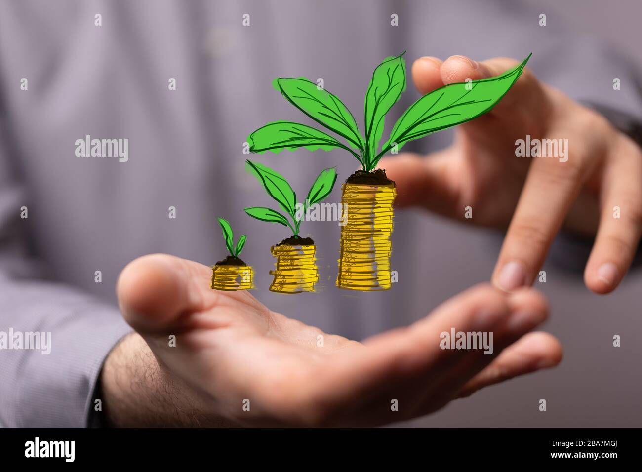 A green plant growing up digital Stock Photo - Alamy