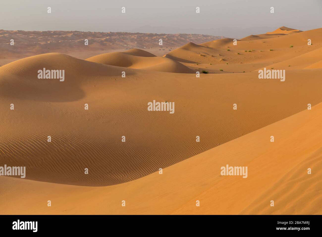 Sand dunes in the Wahiba Desert in Northern Oman Stock Photo - Alamy