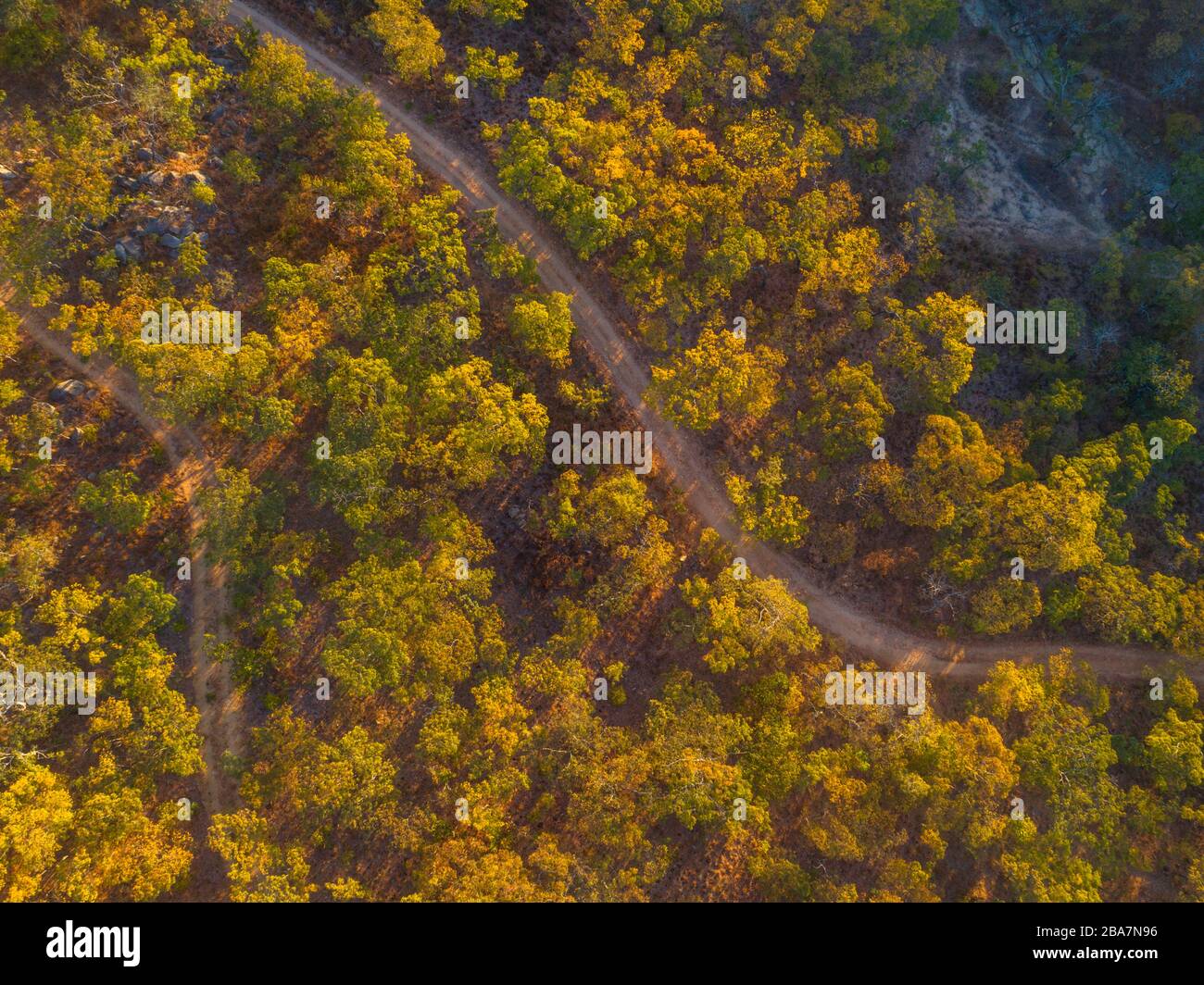 An aerial view of lush spring vegetation in Zimbabwe Stock Photo - Alamy