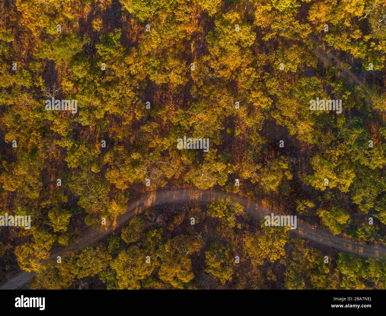 An aerial view of lush spring vegetation in Zimbabwe Stock Photo - Alamy