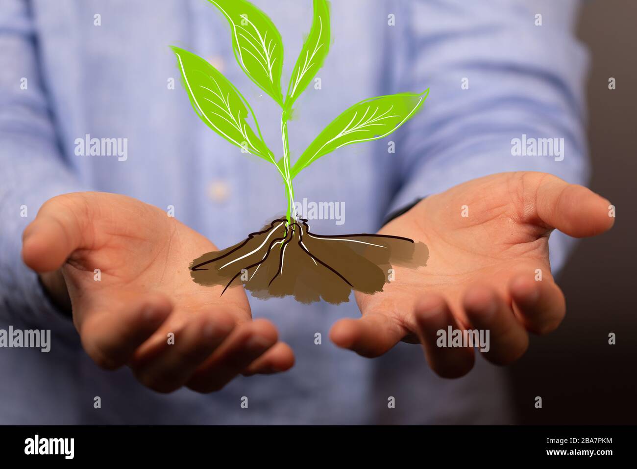 A green plant growing up digital Stock Photo - Alamy